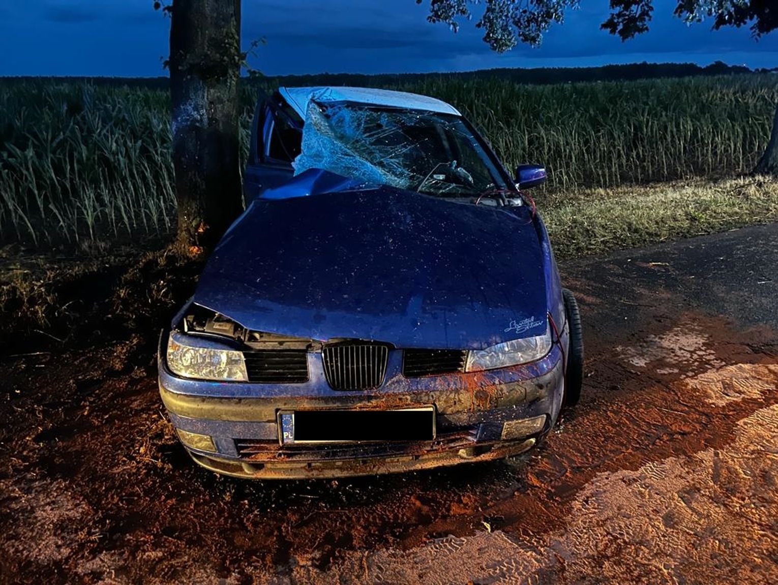 Dwa auta rozbite o drzewa. Dramatyczne wypadki w regionie