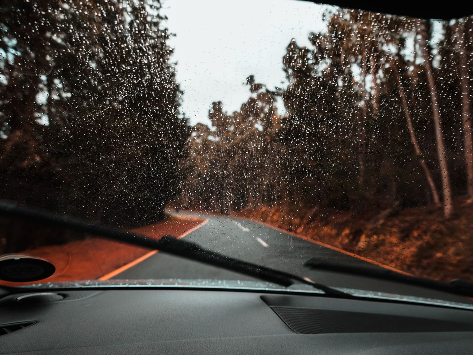 Jaki typ wycieraczki wybrać do samochodu?